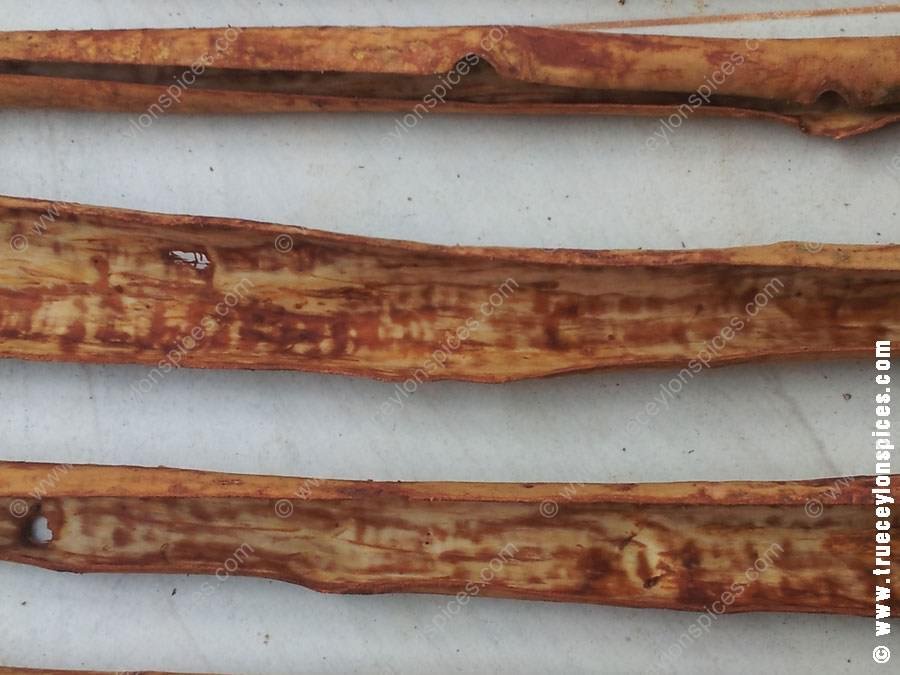 Cinnamon from Sri Lanka – True Ceylon Spices